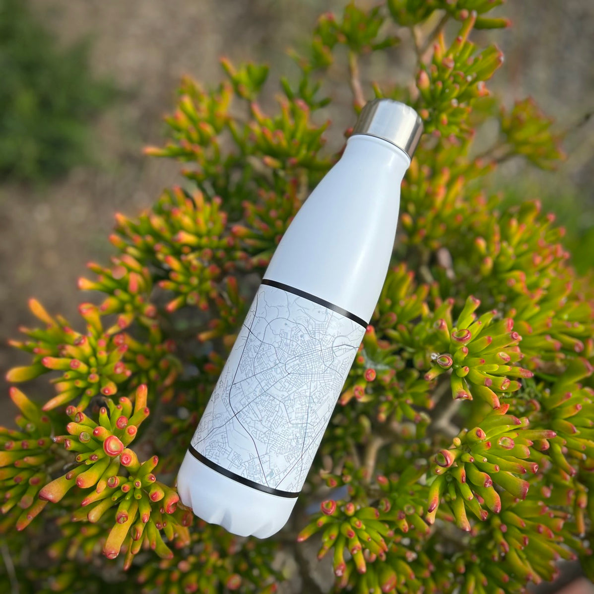 Lawrence - Kansas Map Insulated Bottle in Classic — JACE Maps