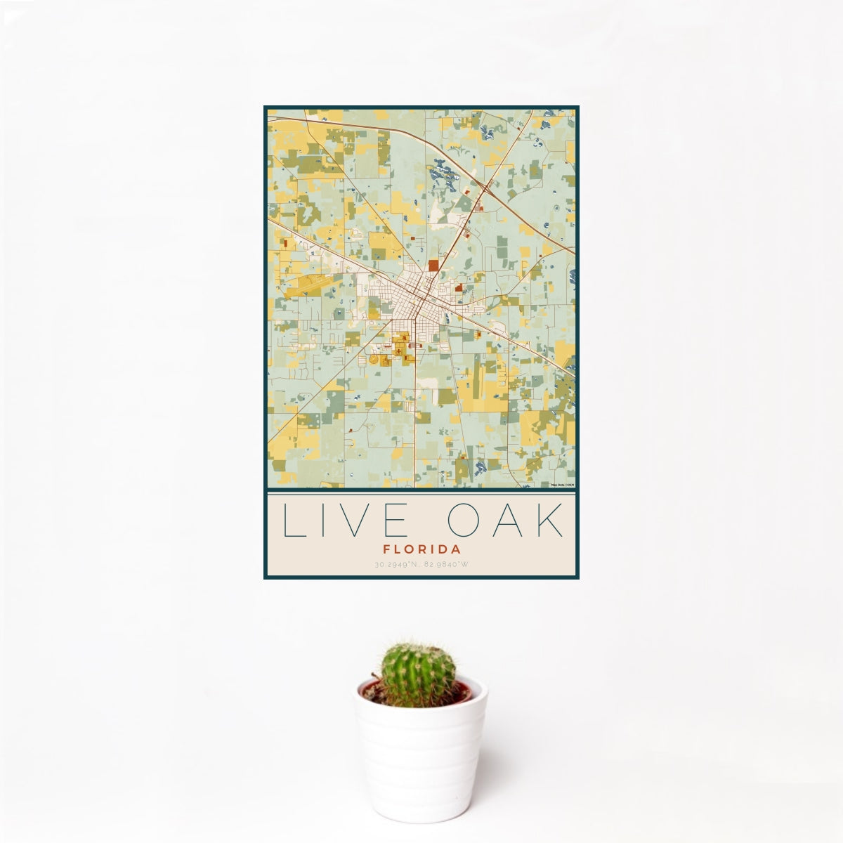 Live Oak - Florida Map Print in Woodblock — JACE Maps