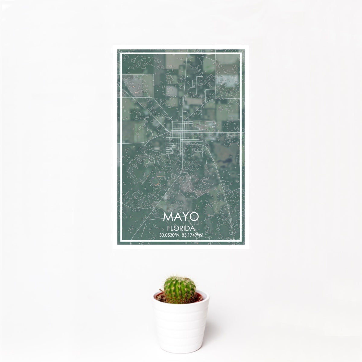 Mayo - Florida Map Print in Afternoon — JACE Maps